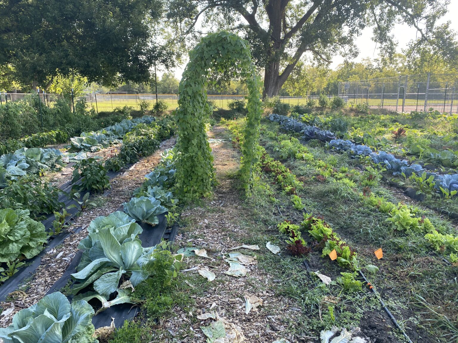 Programs - Grow Jackson